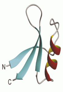 defensin-structure - Hexima